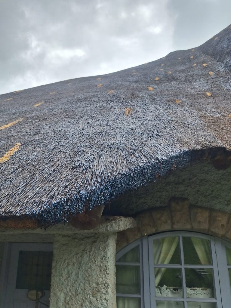 Thatch Fire Protection