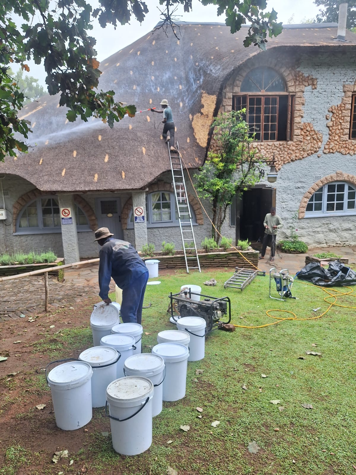 Thatch Fire Protection